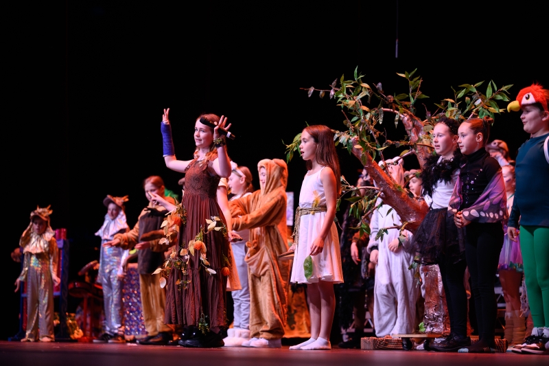 Studio Galea - Client Galleries - Events - WAGSMS 2024 Concert Series