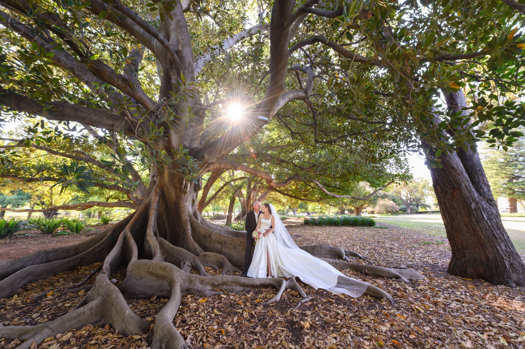 Studio Galea - Jennifer & Troy - Client Galleries